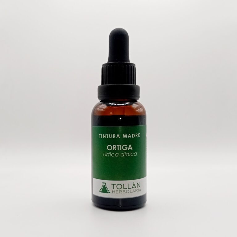 Ortiga: Propiedades Medicinales y Modos de Uso - Tollán Herbolaria