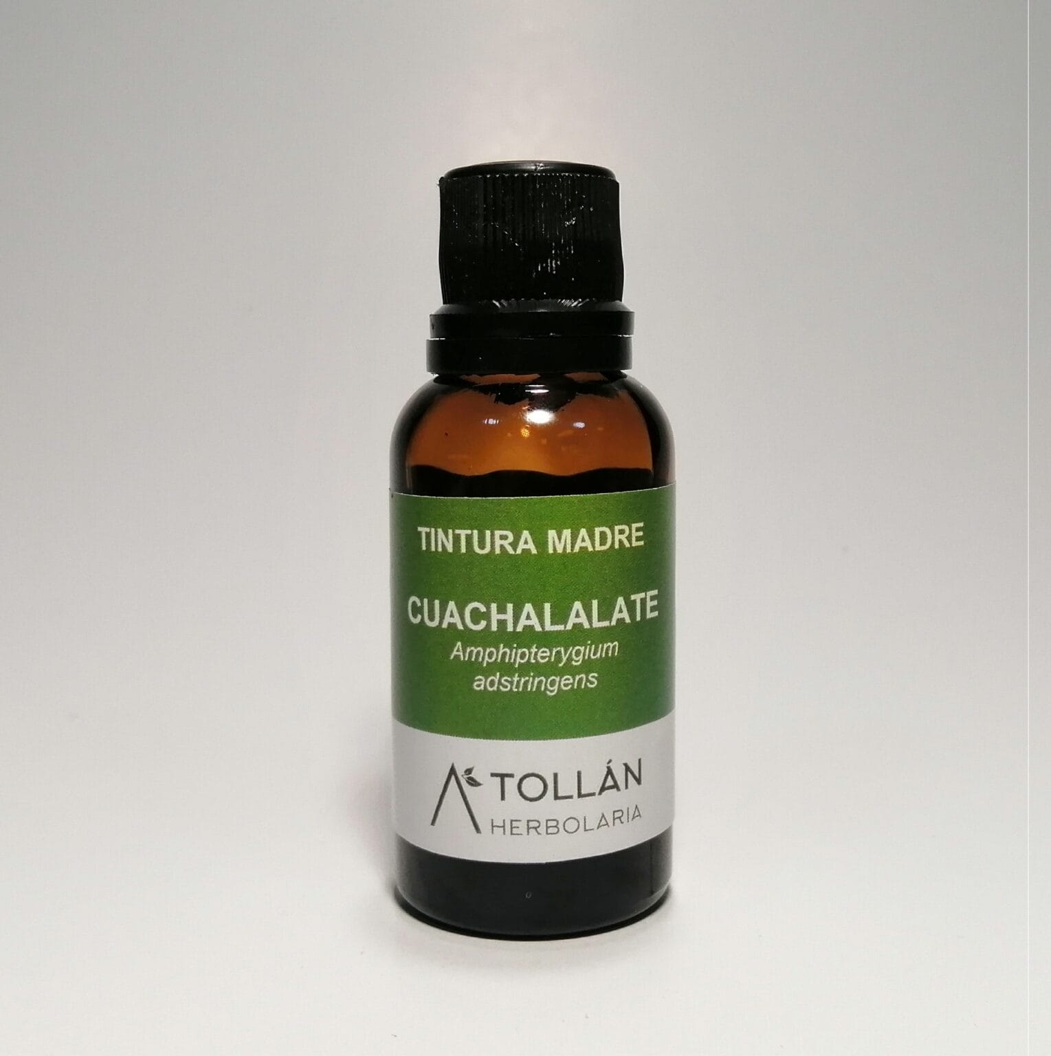 Tintura madre de Cuachalalate (Amphipterygium adstringens) | Tollán ...