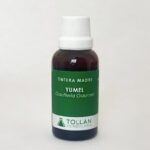 Yumel (Gautteria Gaumeri) Tintura Madre - Tollán Herbolaria