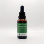 Axocopaque: poderosa planta medicinal mexicana - Tollán Herbolaria
