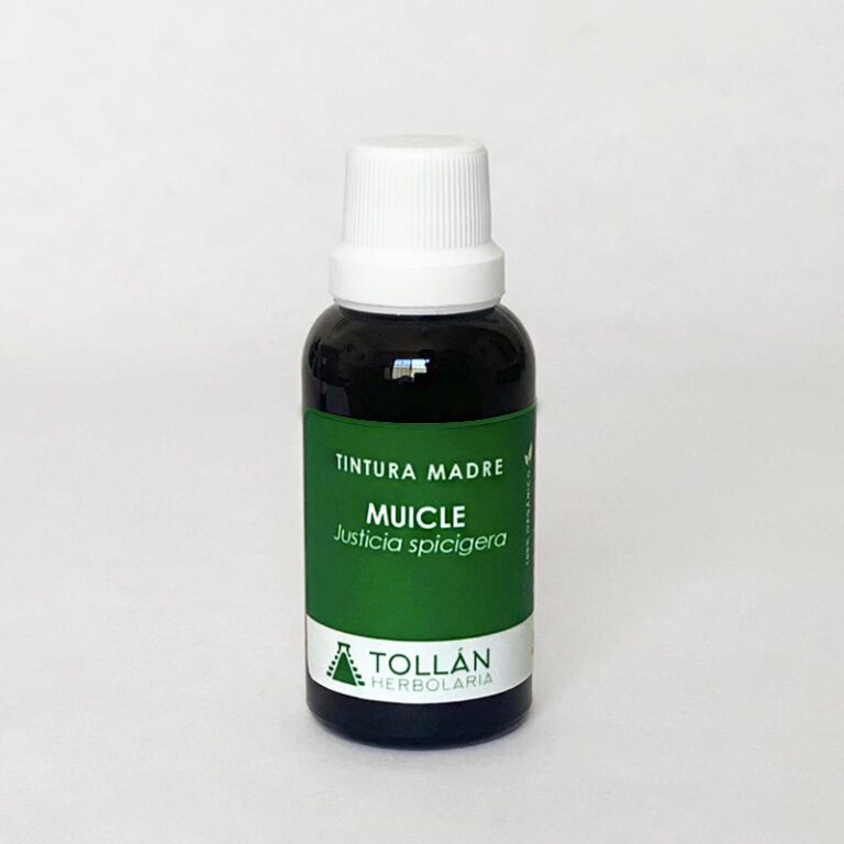 Muicle, Beneficios y Contraindicaciones - Tollán Herbolaria